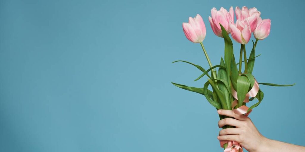 Qué Flores Regalar a una Amiga 】 Top 6 para Sorpresa - Oasis